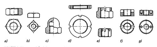 Datei:Mutternarten.jpg – BS-Wiki: Wissen teilen